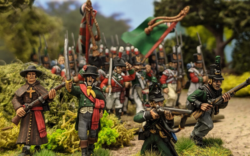 Napoleonic Spanish: 'An Armed Mob' - Warlord Community