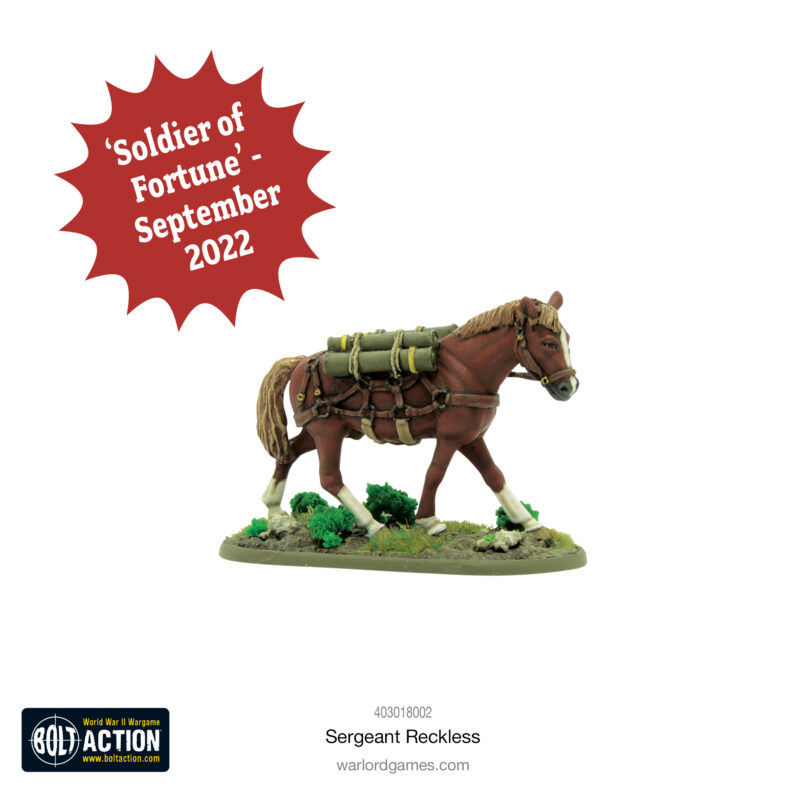 Soldier of Fortune: Sergeant Reckless - Warlord Community