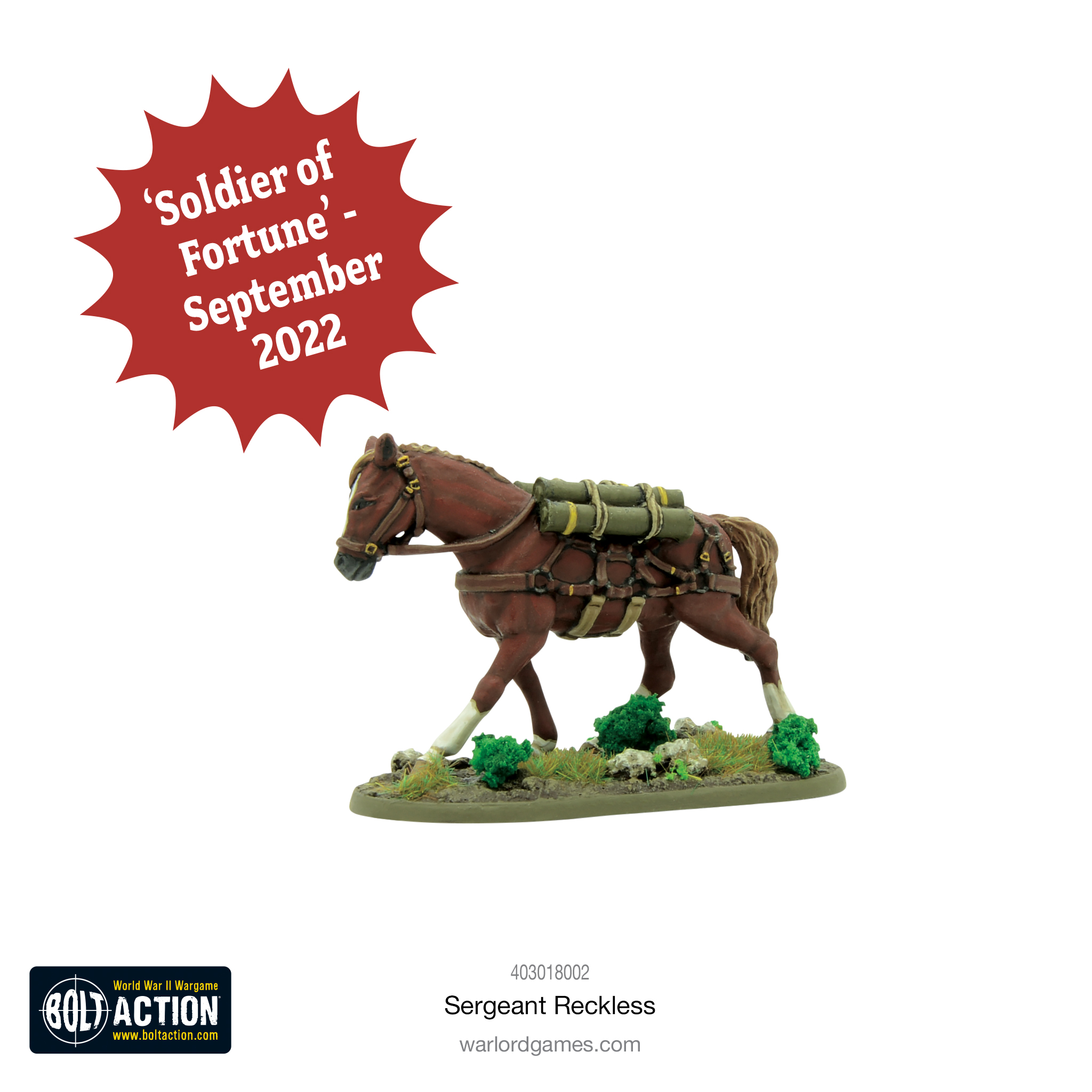 Soldier of Fortune: Sergeant Reckless - Warlord Community