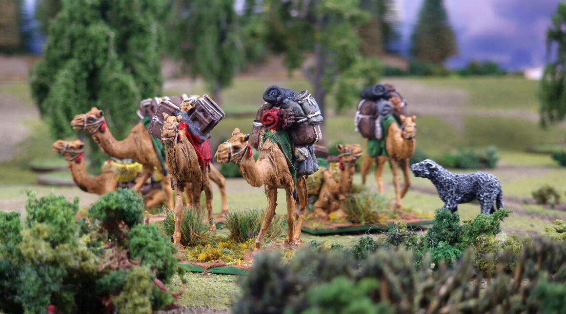 Janissaries, Voyniks, and Azaps, Oh My! John Stallard's Ottomans, Part ...