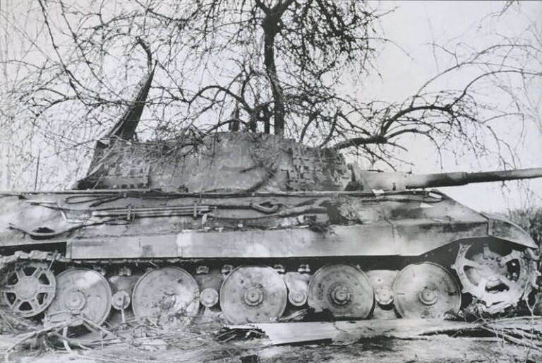 Hobby Champions: Steff's Captured Tiger II - Warlord Community